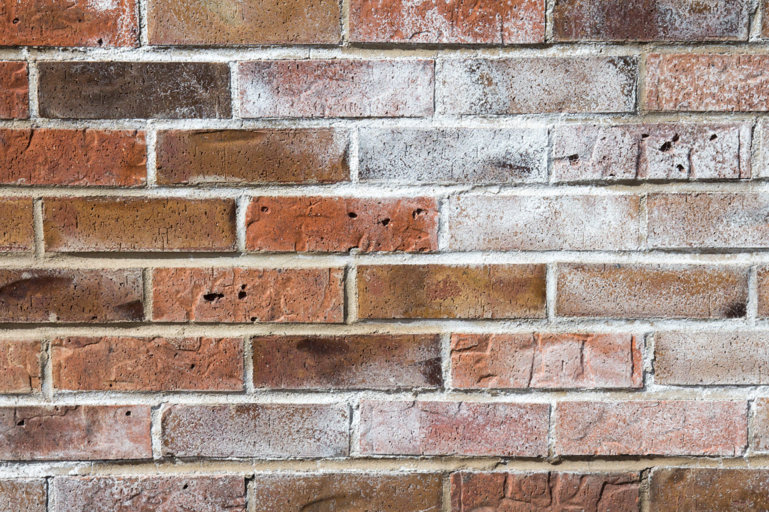 Ugly Stains on Your Basement Walls? What They Are & How to Fix Them