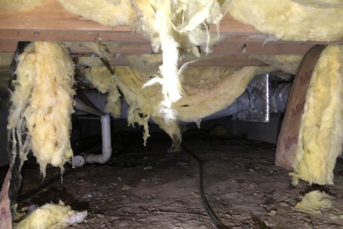 Crawlspace Transformation in Cape May - Jersey Shore Crawlspace