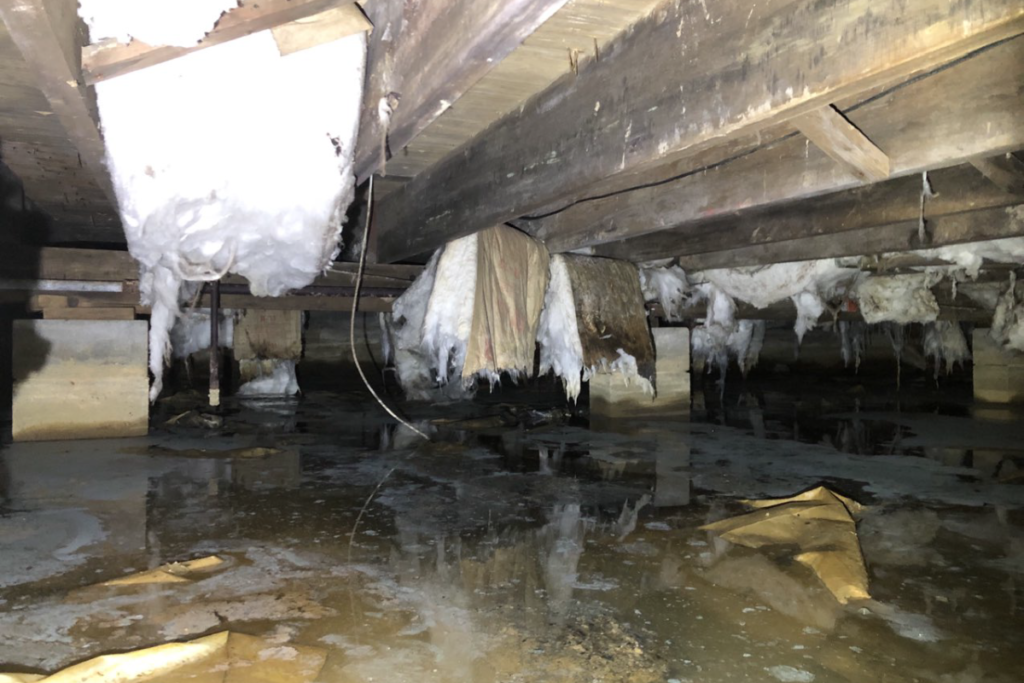 The Role of Moisture Control in Preventing Structural Damage