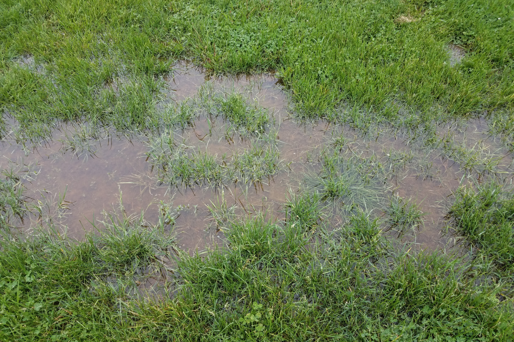 Spring Landscaping & Drainage: Managing Moisture Around Your Home